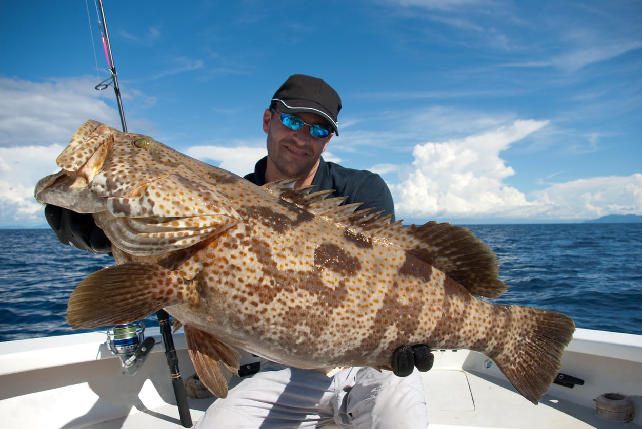 Key West Fishing Report (Updated May 2025) | Fish Key West®