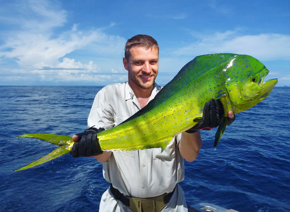 Key West Summer Fishing Means Great Multi-species Action | Fish Key West®